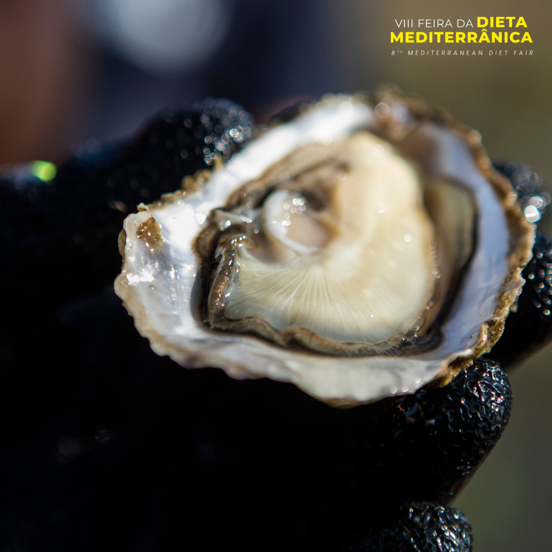 Fusões da Ria Formosa Ceviche de Ostras, Xarém negro de Berbigão ...